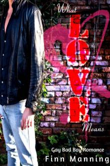 Read What Love Means online free by F N Manning