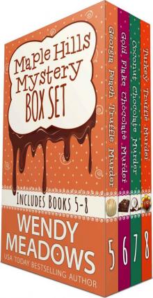 Read Maple Hills Mystery Box Set online free by Wendy Meadows