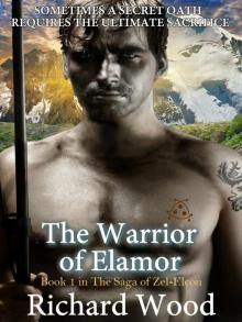 Read The Warrior of Elamor (Saga of Zel-Elcon Book 1) online free by ...