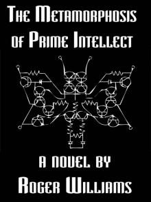 Read The Metamorphosis of Prime Intellect online free by Roger Williams