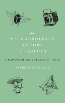 Read Extraordinary Theory of Objects online free by Stephanie LaCava