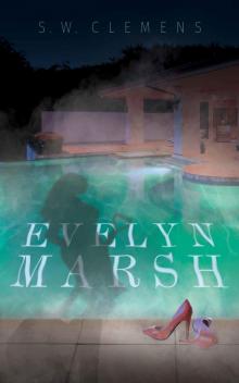 Read Evelyn Marsh online free by S. W. Clemens