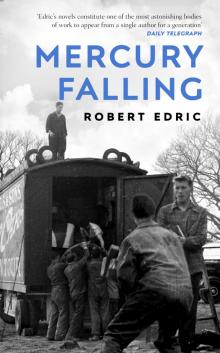 Read Mercury Falling online free by Robert Edric